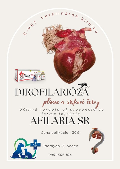 Afilaria SR :: EVETklinika